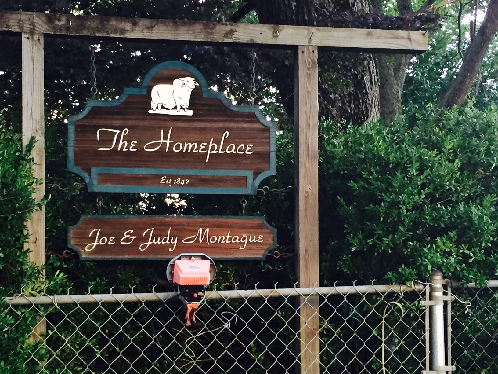 Spotlight On: Homeplace Farm | WakeMed Voices Blog